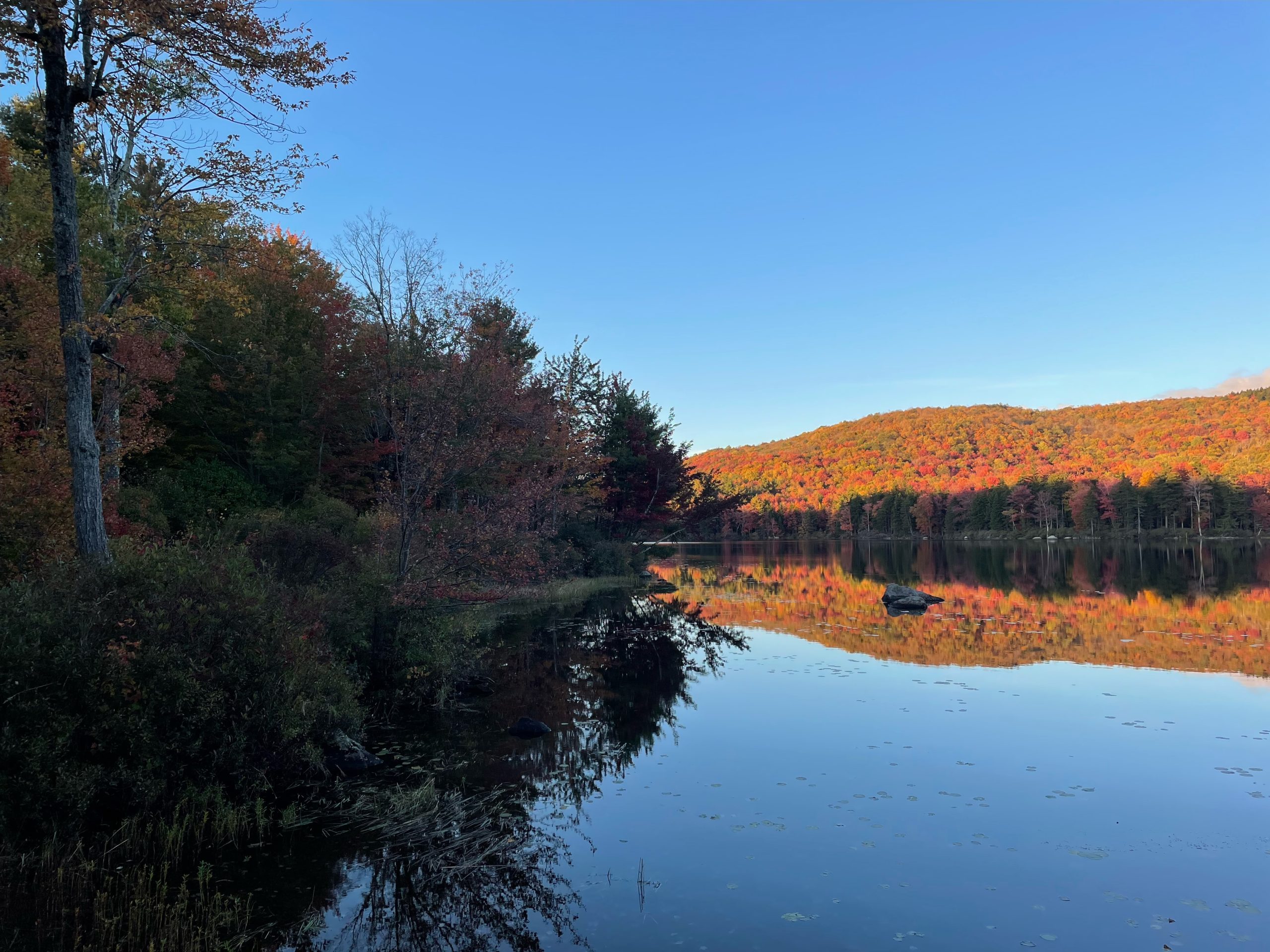 Article 2 | Orchard Hill Breadworks